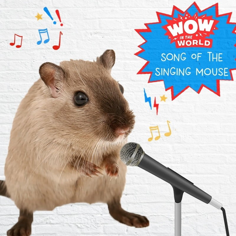 Song Of The Singing Mouse from Wow in the World | Children's Podcast
