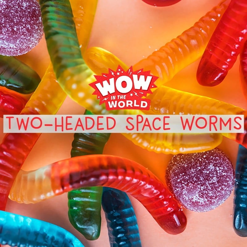 Two-Headed Space Worms (Encore - 1/21/19) from Wow in the World ...