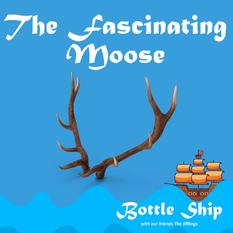 The Fascinating Moose from Bottle Ship Adventures | Children's Podcast