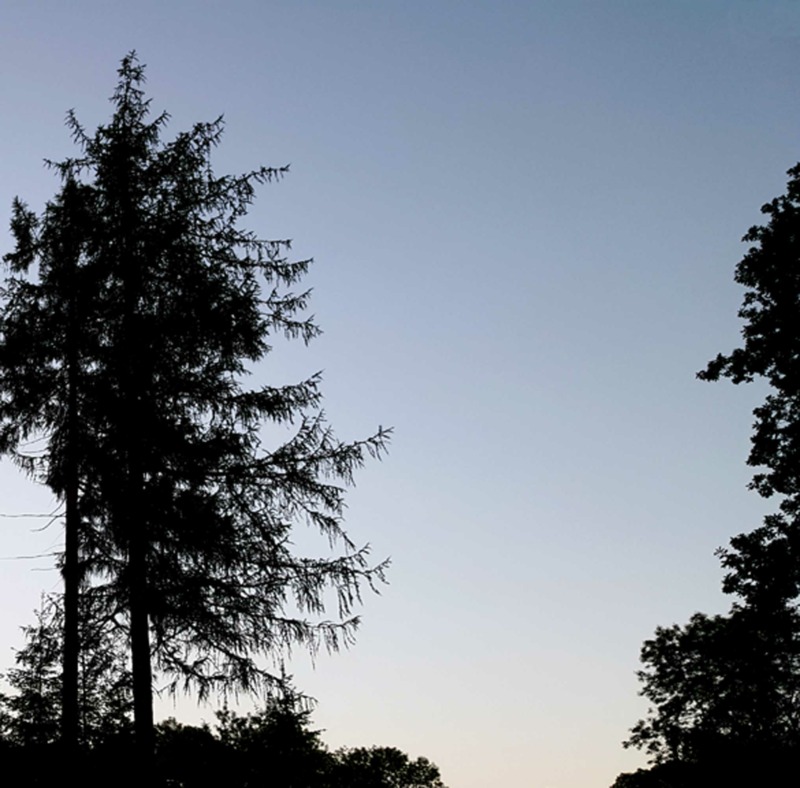 129 Pristine quiet to early dawn (includes woodcock roding calls in ...