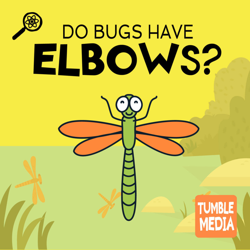 Do Bugs Have Elbows? from Tumble - Science Podcast for Kids | Children ...