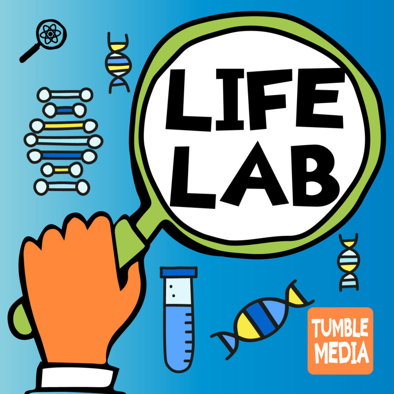 Moving to Mars? - Life Lab, Pt 2 from Tumble - Science Podcast for Kids ...