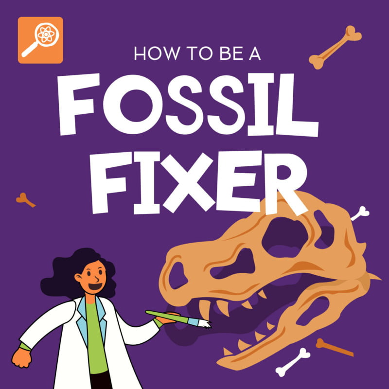 How To Be a Fossil Fixer from Tumble - Science Podcast for Kids ...