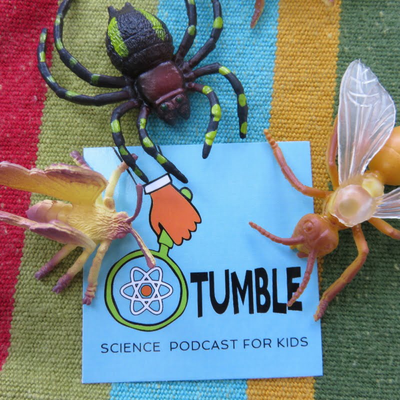 How to Interview a Scientist [BONUS EPISODE] from Tumble - Science ...