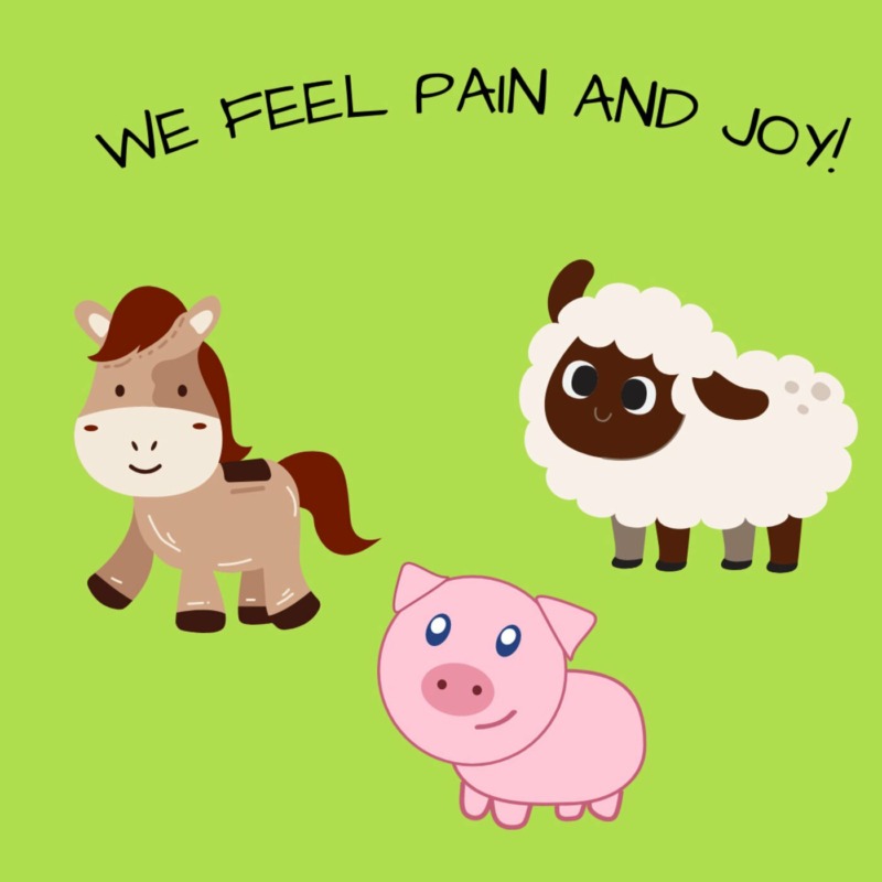 Epi 71: Wildlife - Why lobsters, horses, pigs and octopuses feel more ...