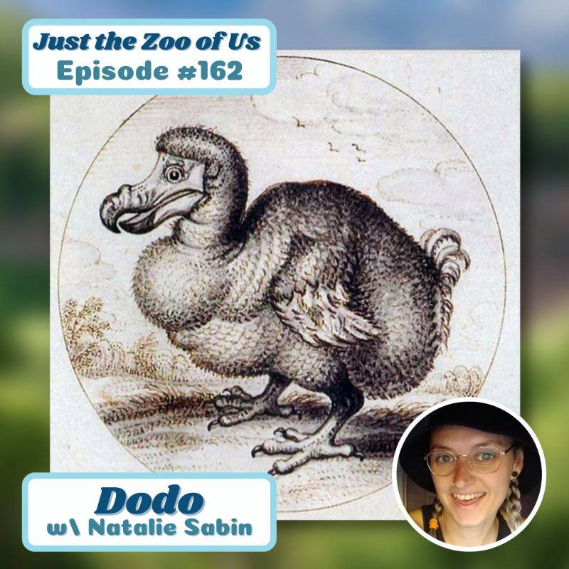 163: The Dodo w/ Natalie Sabin! from Just the Zoo of Us | Children's ...