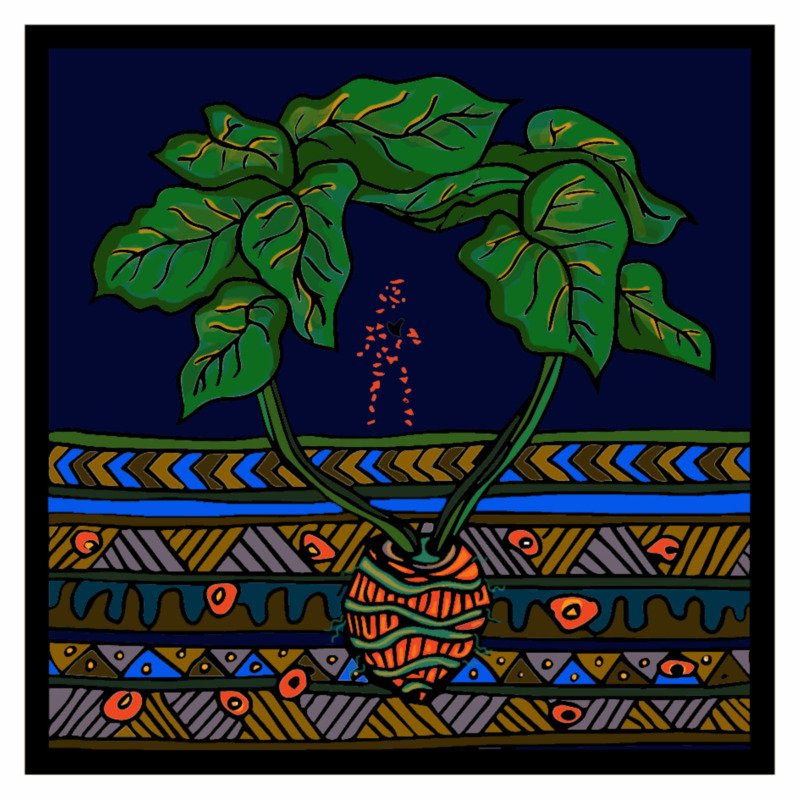 Hainuwele the Coconut Girl from In The Beginning | Children's Podcast