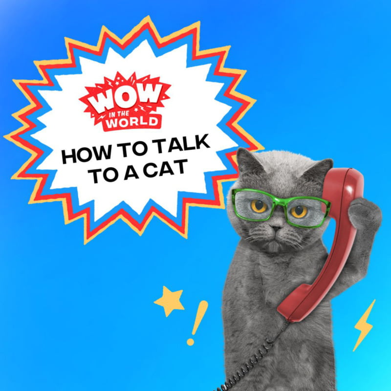 How To Talk To A Cat (1/9/23) from Wow in the World | Children's Podcast