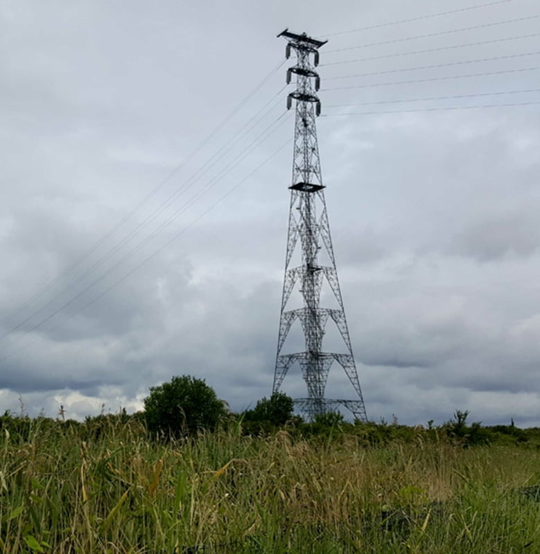 77 The cuckoo of Swanscombe Marsh from Radio Lento | Children's Podcast