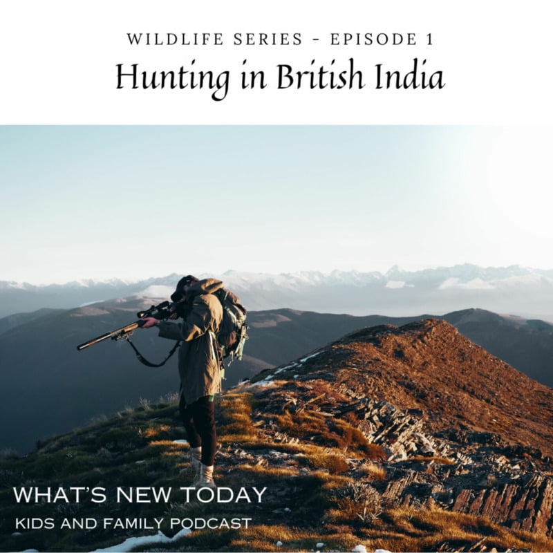 Wildlife series: Part 1 - History of Hunting in British India from What ...