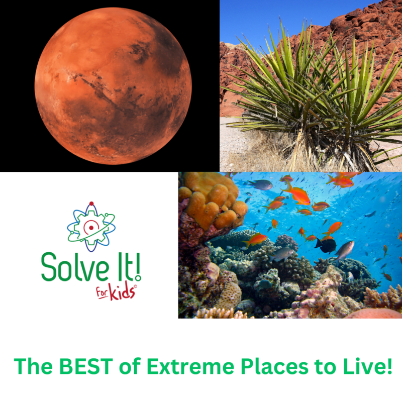 The BEST of Extreme Places to Live from Solve It! for Kids | Children's ...