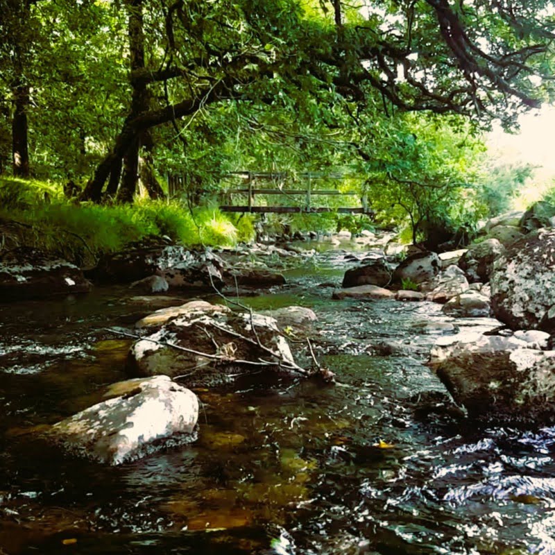 203 Dartmoor stream above waterfall gorge (part 2) from Radio Lento ... 203 Dartmoor stream above waterfall gorge (part 2) from Radio Lento ...