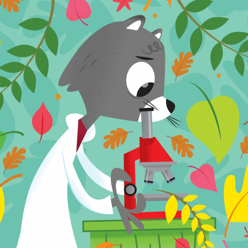 How Do You Science | Meet a Biological Anthropologist (who studies ...