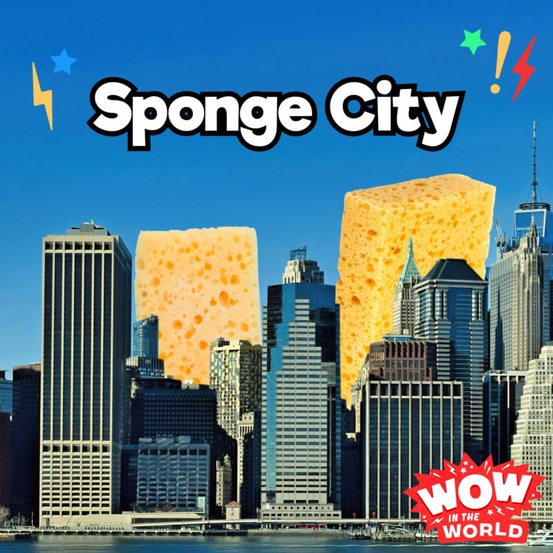 Sponge City (3/4/24) from Wow in the World | Children's Podcast