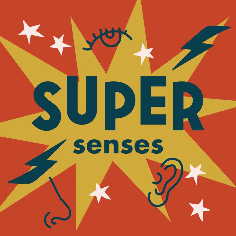 Super Senses from Like You: Mindfulness for Kids | Children's Podcast