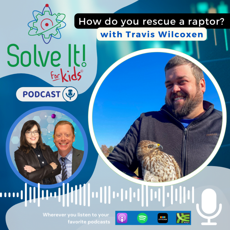 How Do You Rescue Raptors? from Solve It! for Kids | Children's Podcast