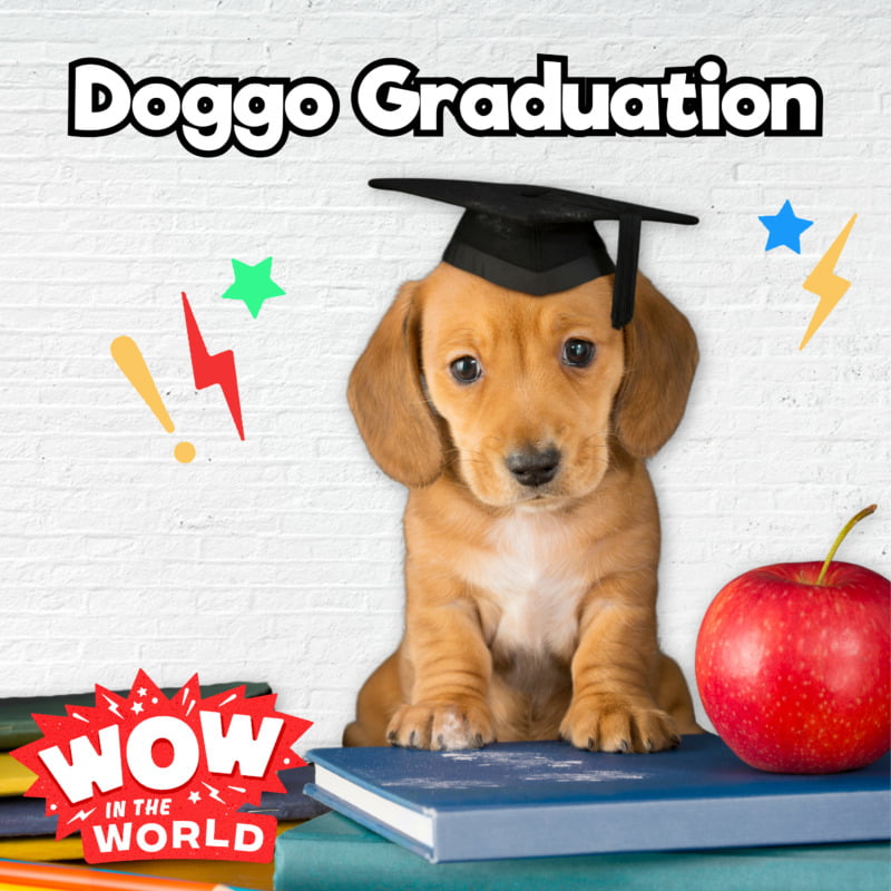 Doggo Graduation (8/5/24) from Wow in the World | Children's Podcast