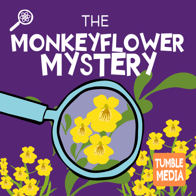 The Monkeyflower Mystery from Tumble - Science Podcast for Kids ...