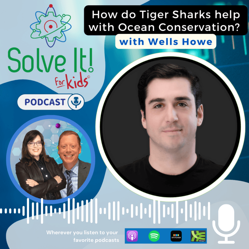 How Do Tiger Sharks Help the Ocean Ecosystem? from Solve It! for Kids ...
