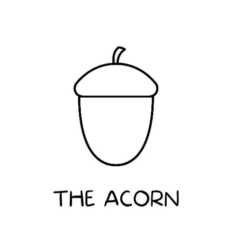 The Acorn from Big Giant Book | Children's Podcast