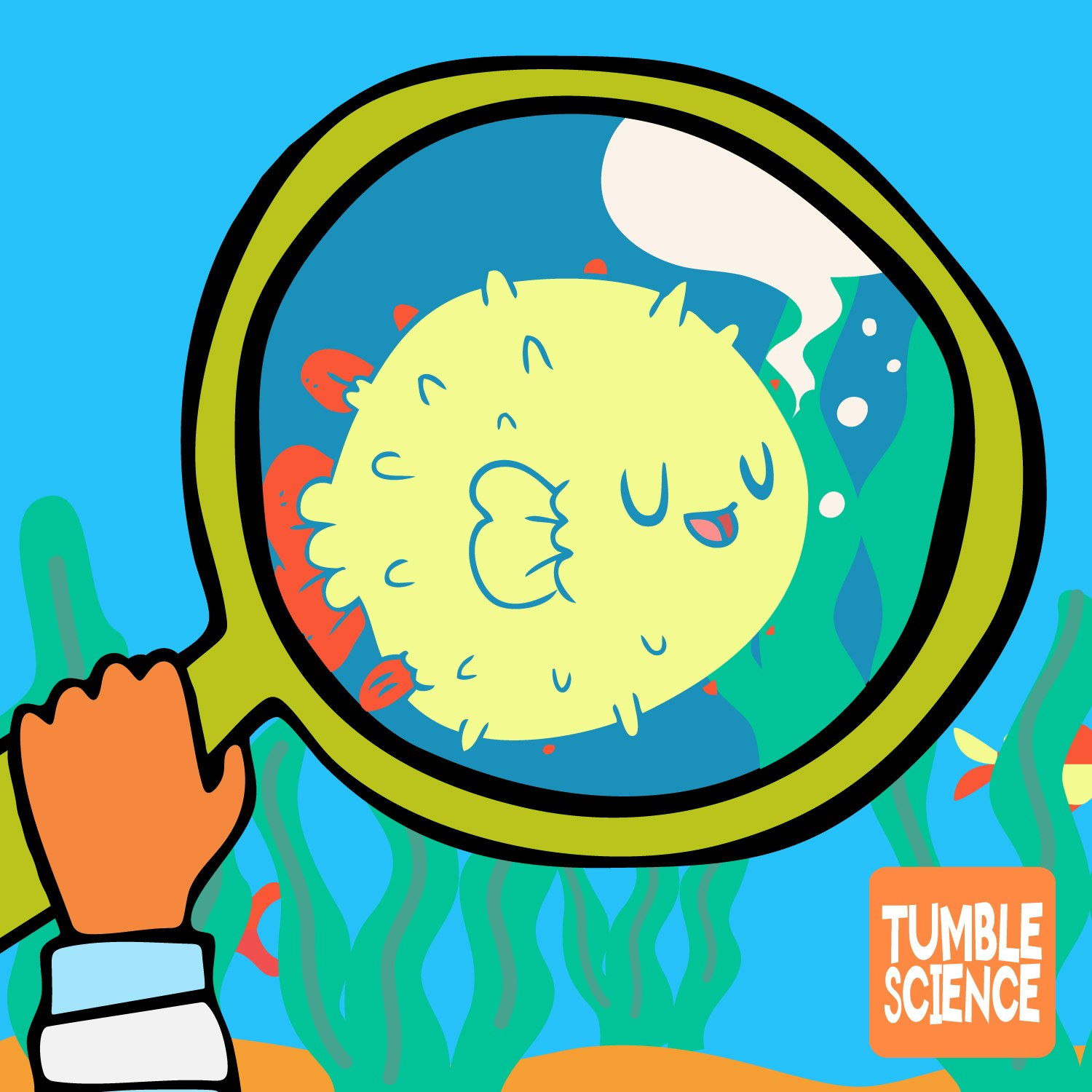 What Sounds Do Fish Make? from Tumble - Science Podcast for Kids ...